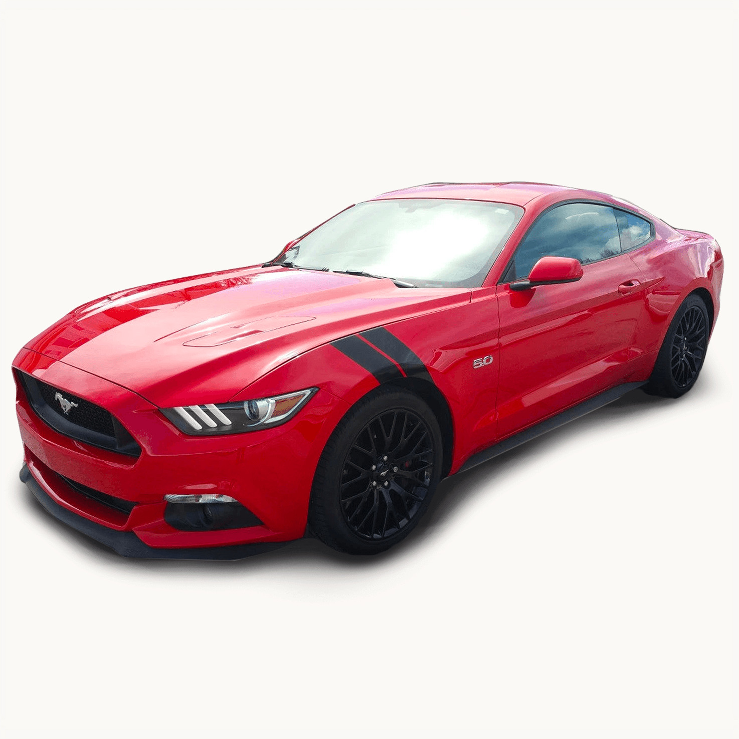 Fender Stripes - Hash Mark Stripes – My Mustang Stripes